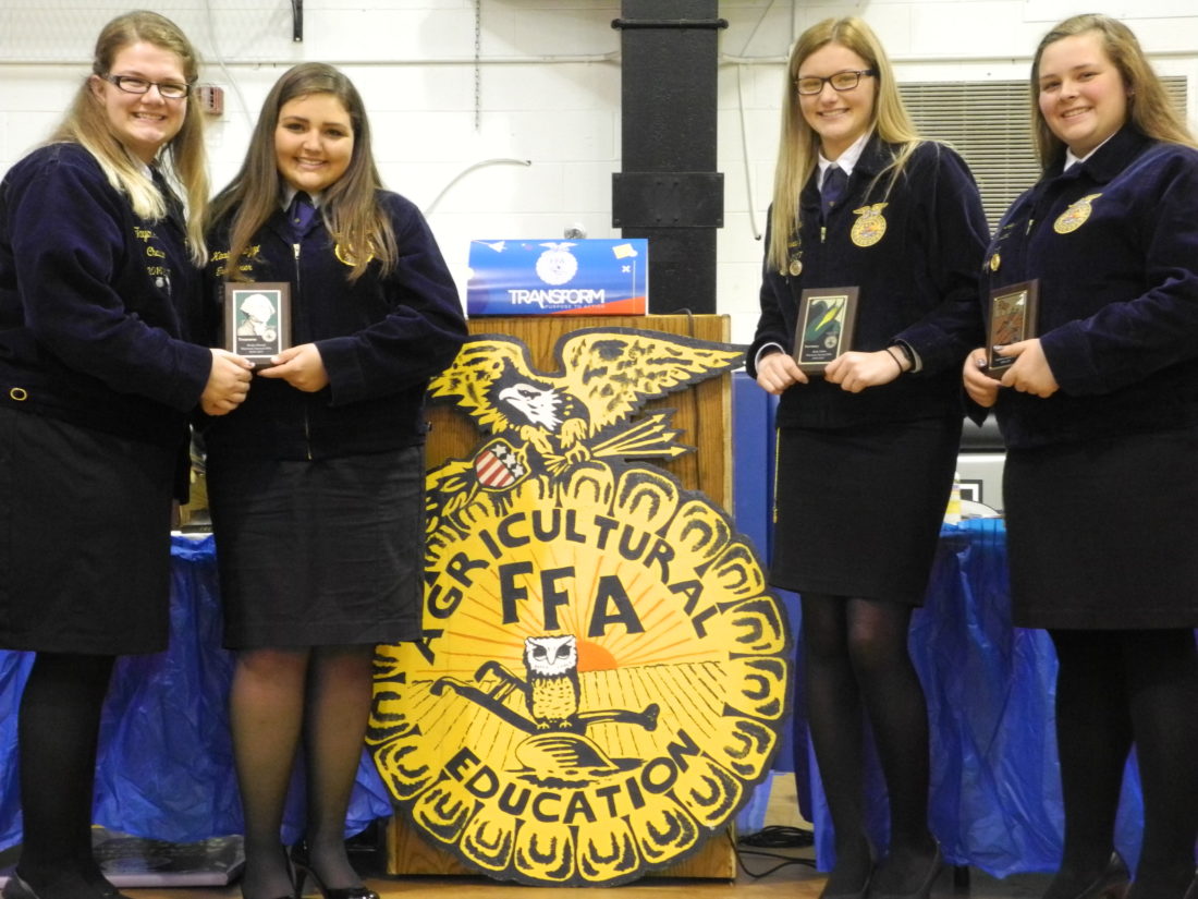 Top FFA Awards | News, Sports, Jobs - The Herald Star
